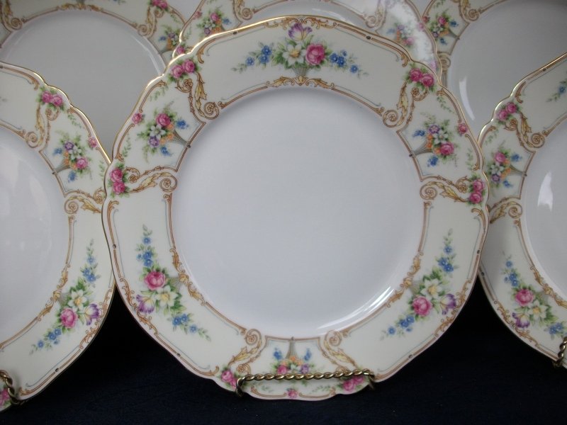 PAUL MULLER SELB BAVARIA (HUTSCHENRUETHER) POMPADOUR- FLORAL CARTOUCHES ...